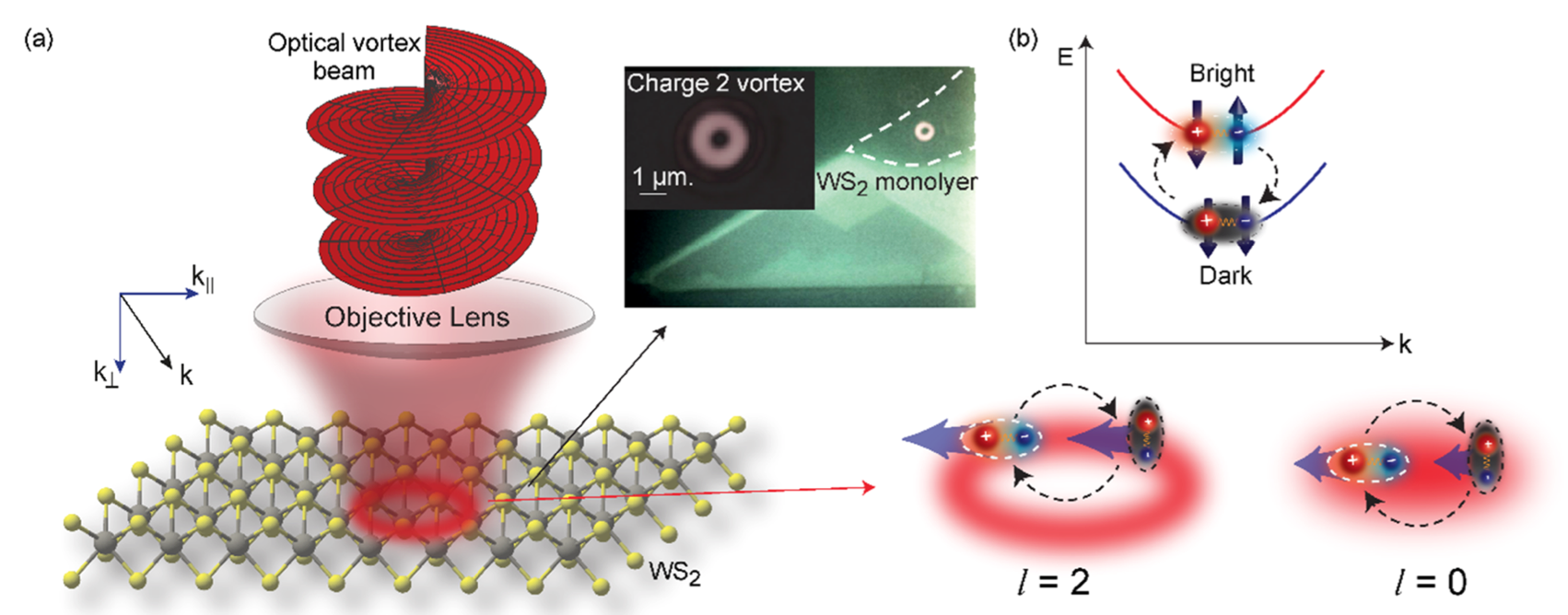 Quantum Optoelectronics Lab – Exploring Novel Phenomena in Physics